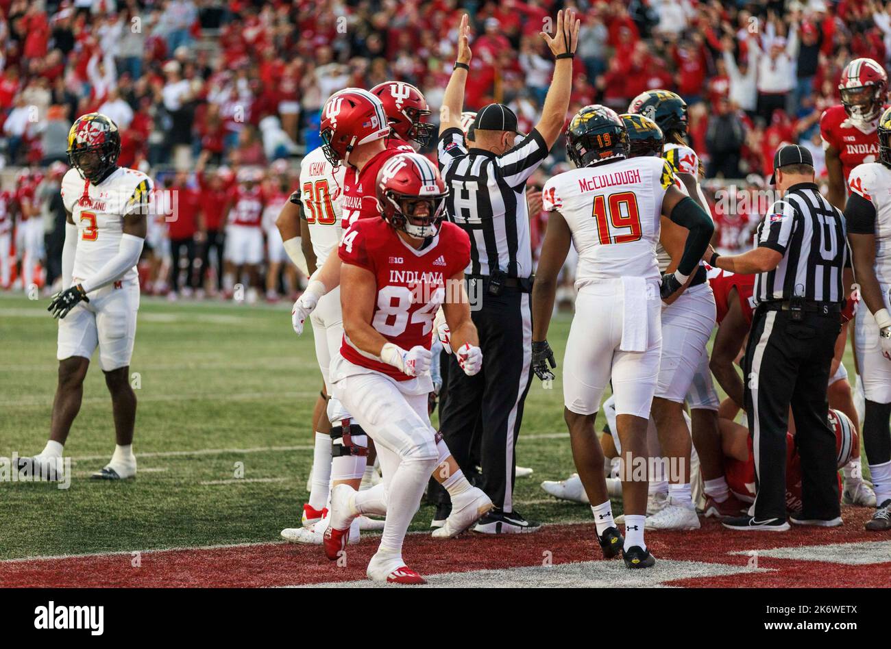 Indiana Hoosiers tight end Aaron Steinfeldt (84) celebrates a teammate ...