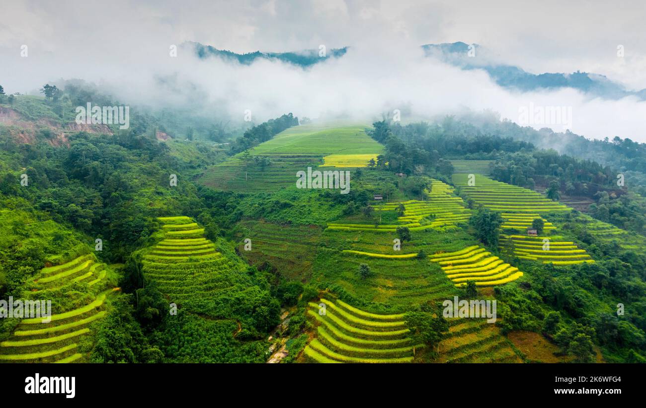 The majestic terraced fields in Ha Giang province, Vietnam. Rice fields ...