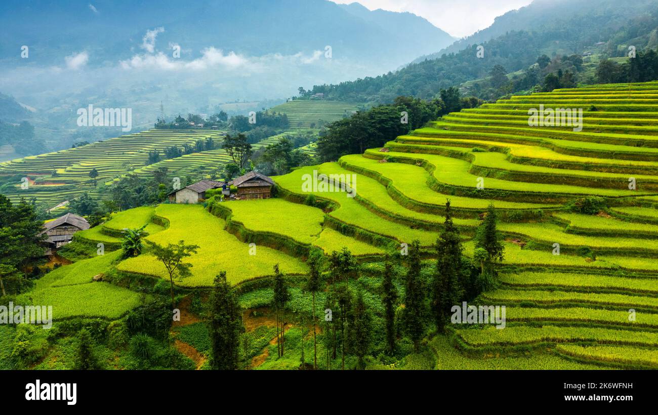 The majestic terraced fields in Ha Giang province, Vietnam. Rice fields ...