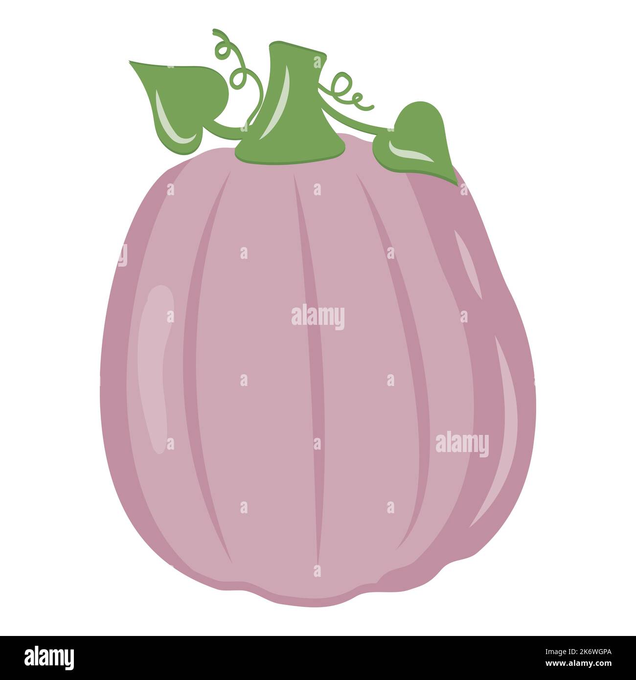 Autumn vegetable pumpkin, color vector isolated illustration icon Stock ...