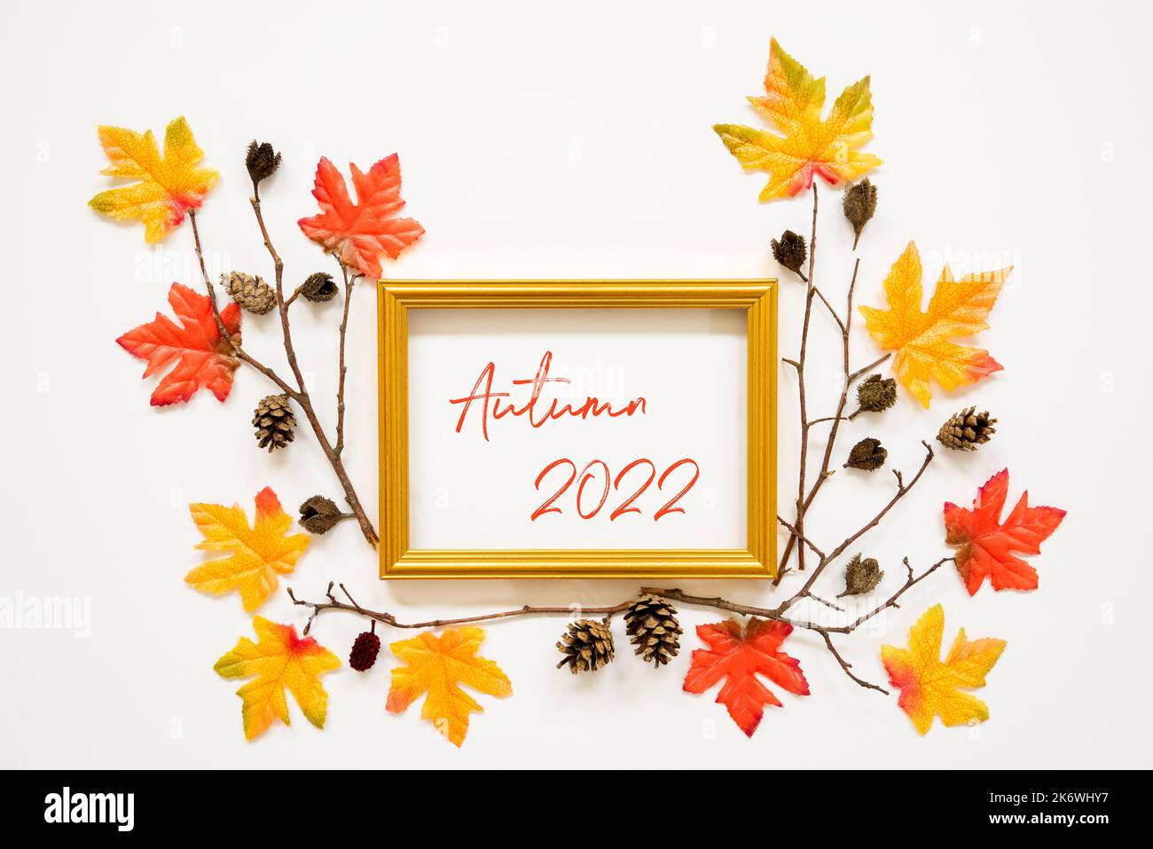 Colorful Autumn Leaf Decoration, Frame, Text Autumn 2022 Stock Photo ...