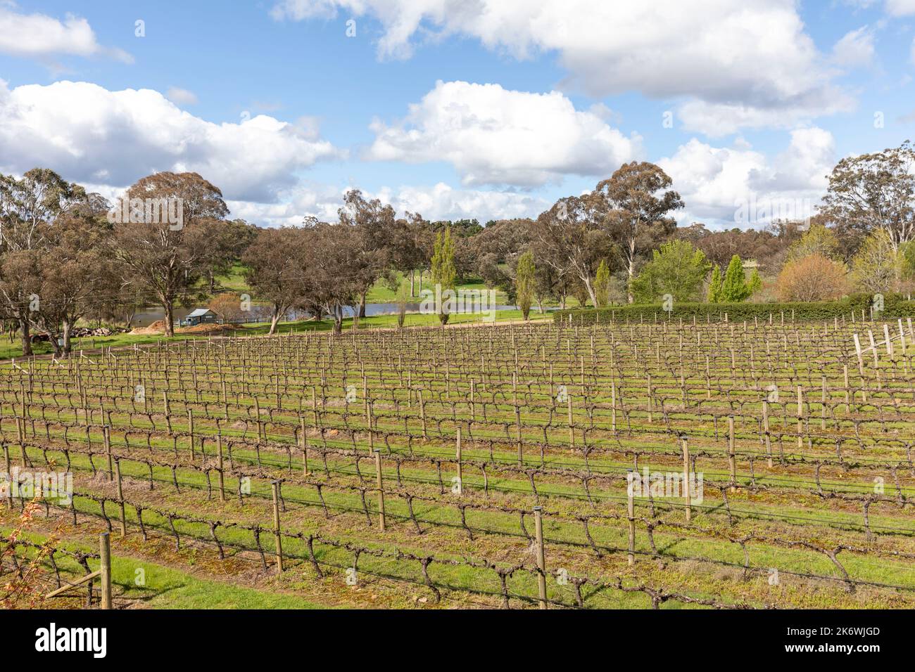 Orange nsw hi-res stock photography and images - Alamy