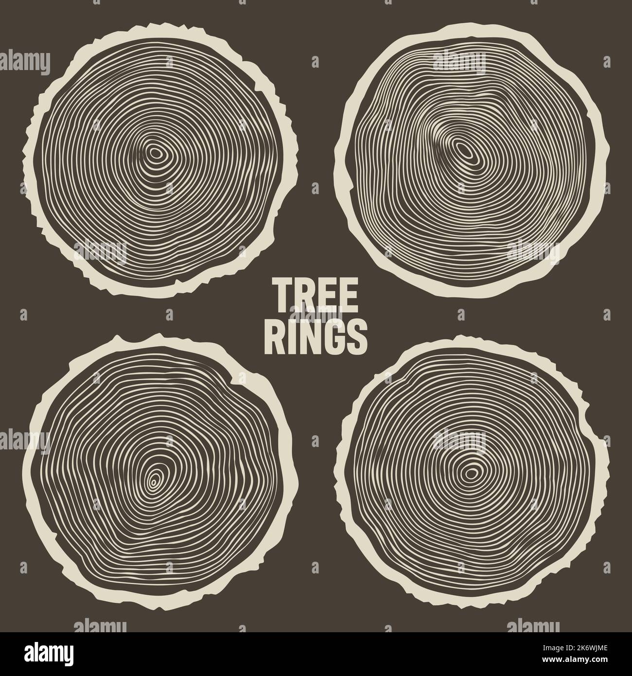 Round tree trunk cuts, sawn pine or oak slices, lumber. Saw cut timber ...