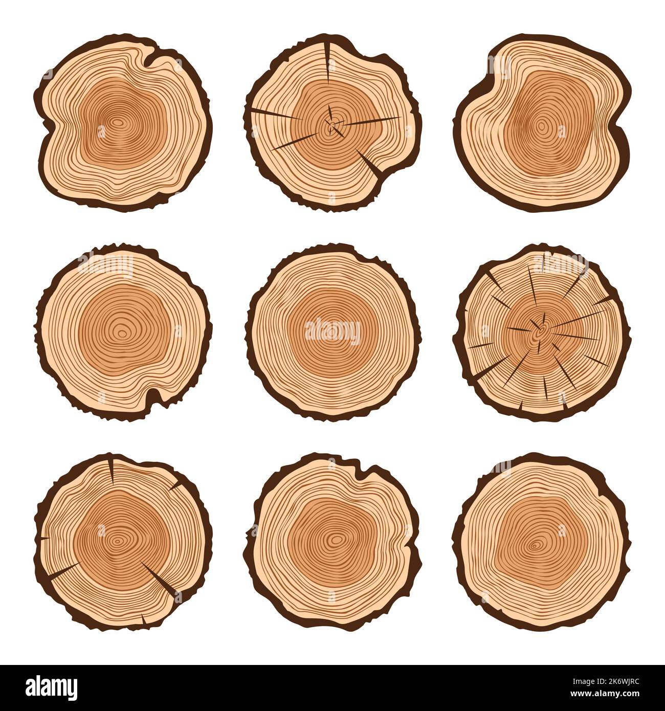 Round tree trunk cuts with cracks, sawn pine or oak slices, lumber. Saw ...