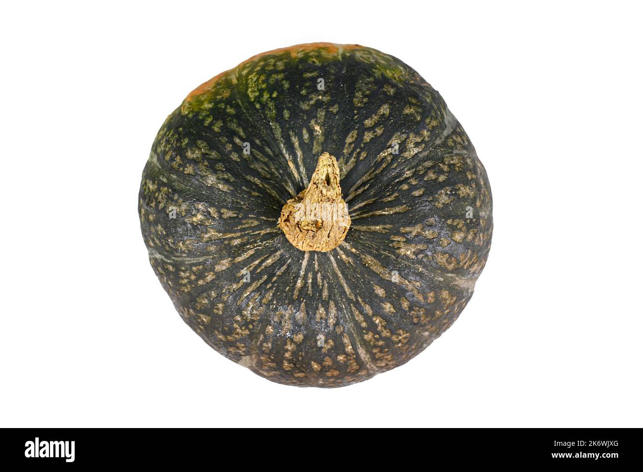 Kabocha pumpkin on farm top hi-res stock photography and images - Alamy