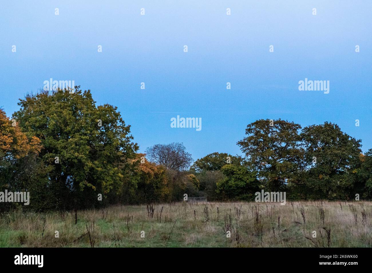 Family walking in uk farming landscape hi-res stock photography and ...