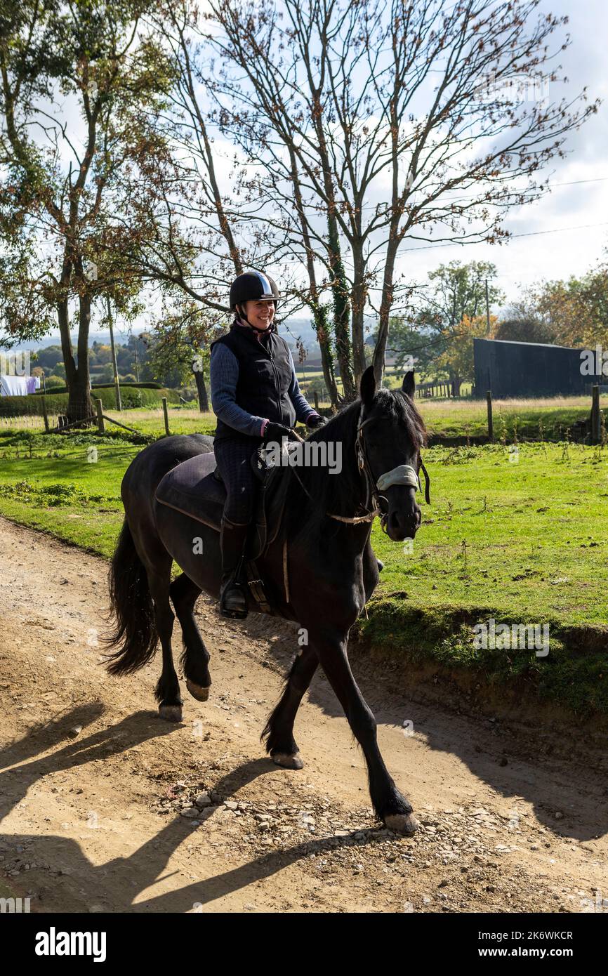 A female horse owner and her Friesian stallion Stock Photo - Alamy