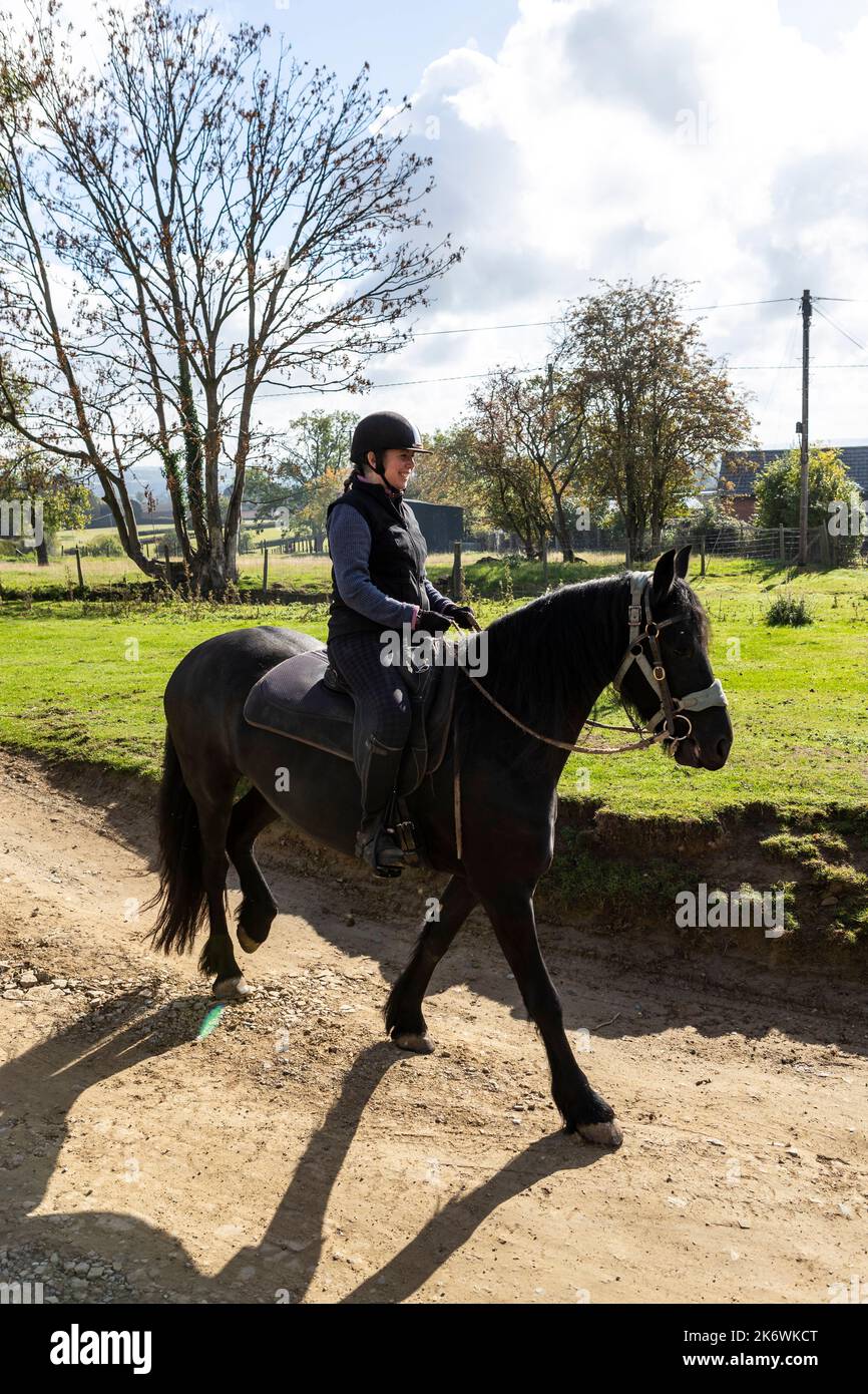 A female horse owner and her Friesian stallion Stock Photo - Alamy