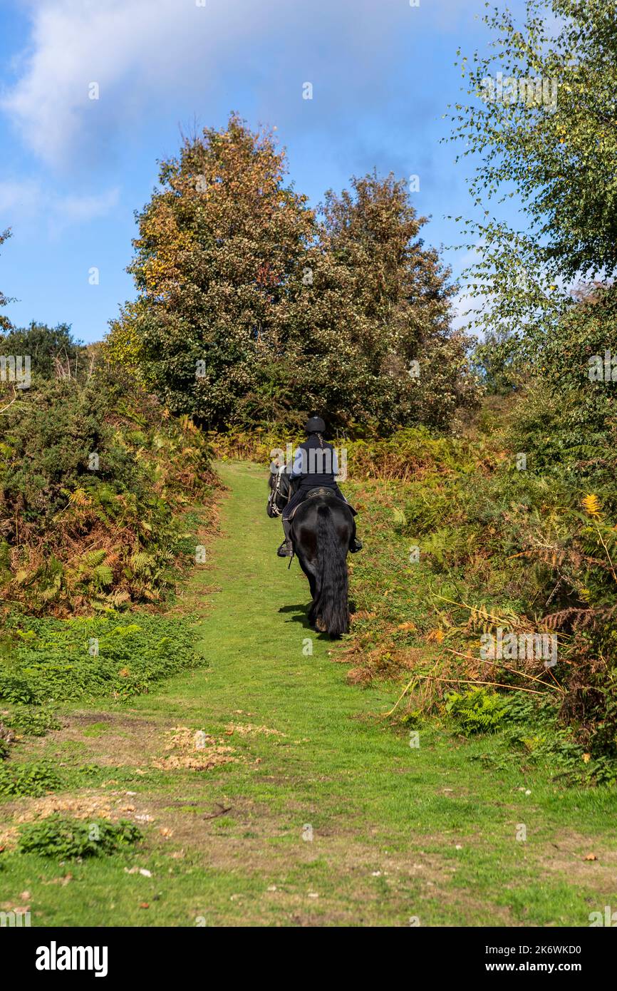 Bircher common hi-res stock photography and images - Alamy