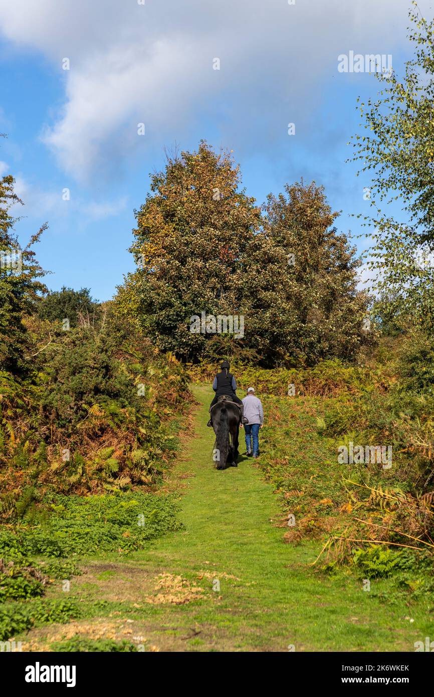 Bircher common hi-res stock photography and images - Alamy