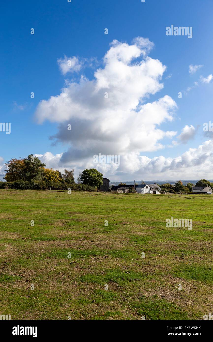 Bircher common hi-res stock photography and images - Alamy