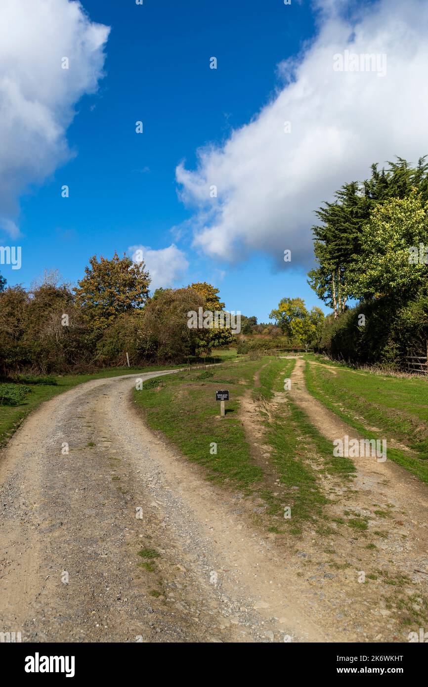 Bircher common hi-res stock photography and images - Alamy