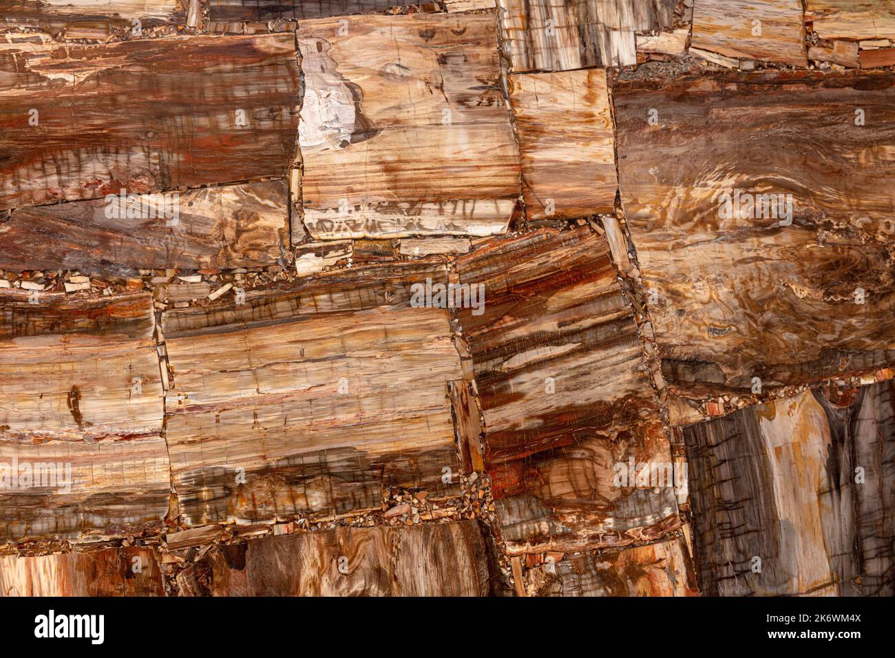 Petrified wood texture slab. Semiprecious matt gemstone stone for ...