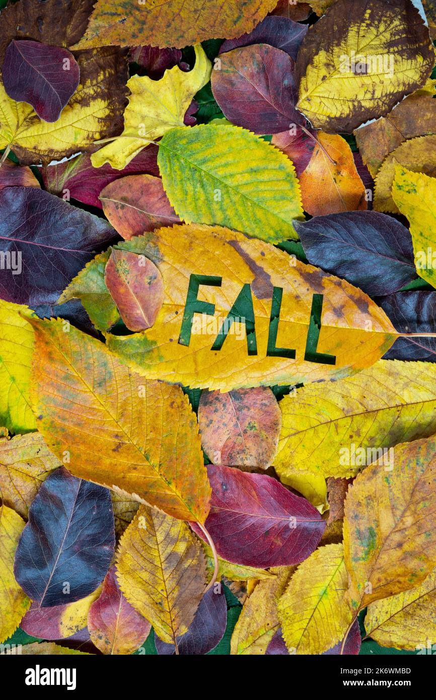 Fall concept hi-res stock photography and images - Alamy