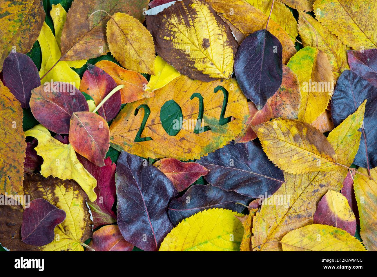 2022 wallpaper hi-res stock photography and images - Alamy