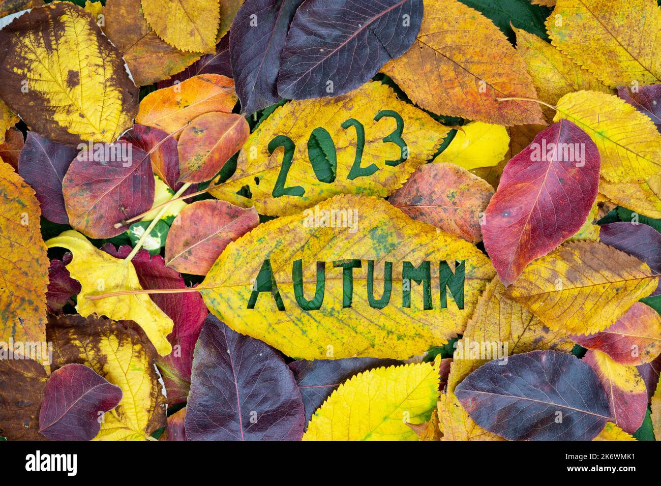 2023 wallpaper hi-res stock photography and images - Alamy