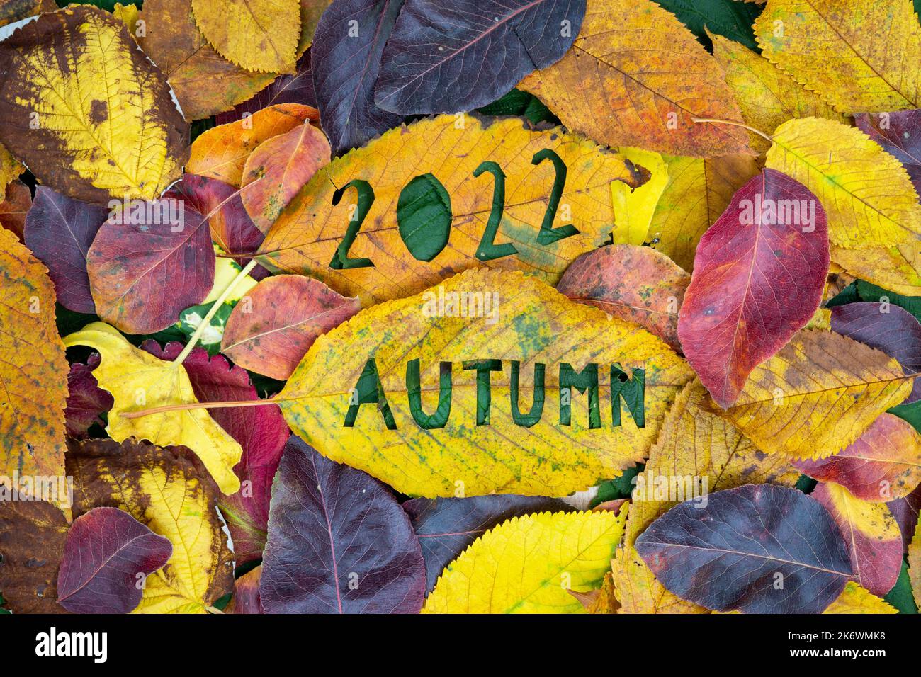 2022 wallpaper hi-res stock photography and images - Alamy