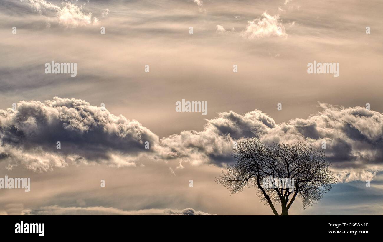 Grass field tree dramatic sky hi-res stock photography and images - Alamy