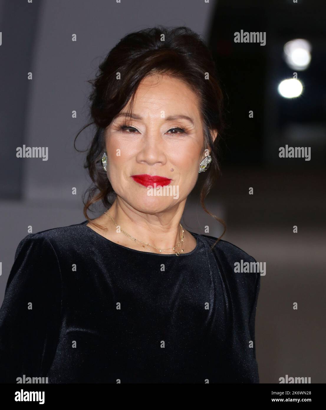 Janet Young arrives at The Second Annual Academy Museum Gala held at ...