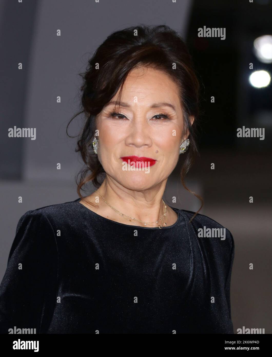 Janet Young arrives at The Second Annual Academy Museum Gala held at ...