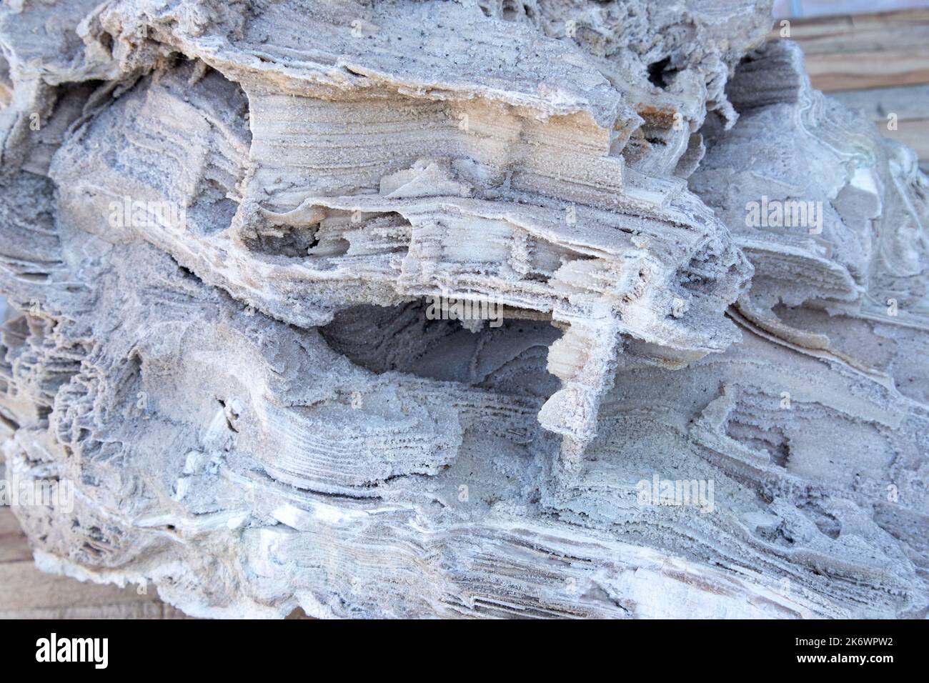 Ancient old petrified wood, excavation, minerals, as nice background ...