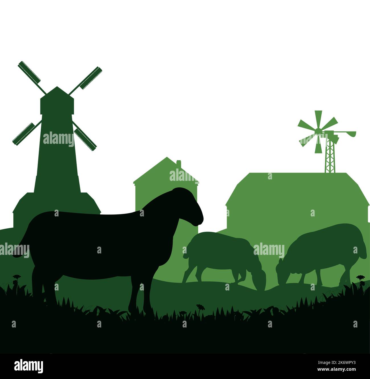 Sheep graze in pasture. Picture silhouette. Farm pets. Rural landscape ...