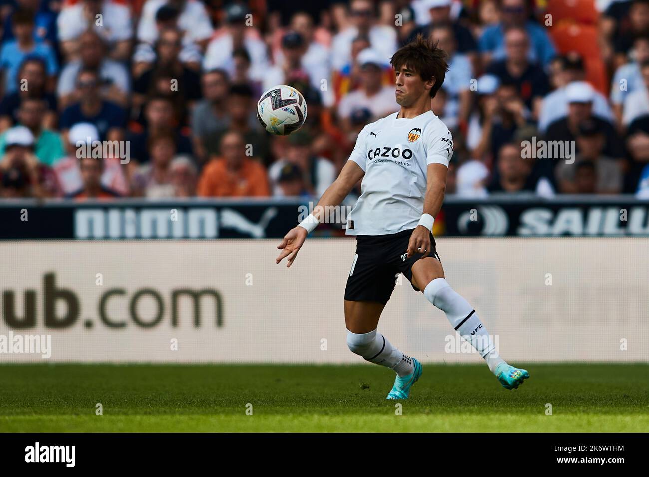 Jesús vázquez valencia hi-res stock photography and images - Alamy