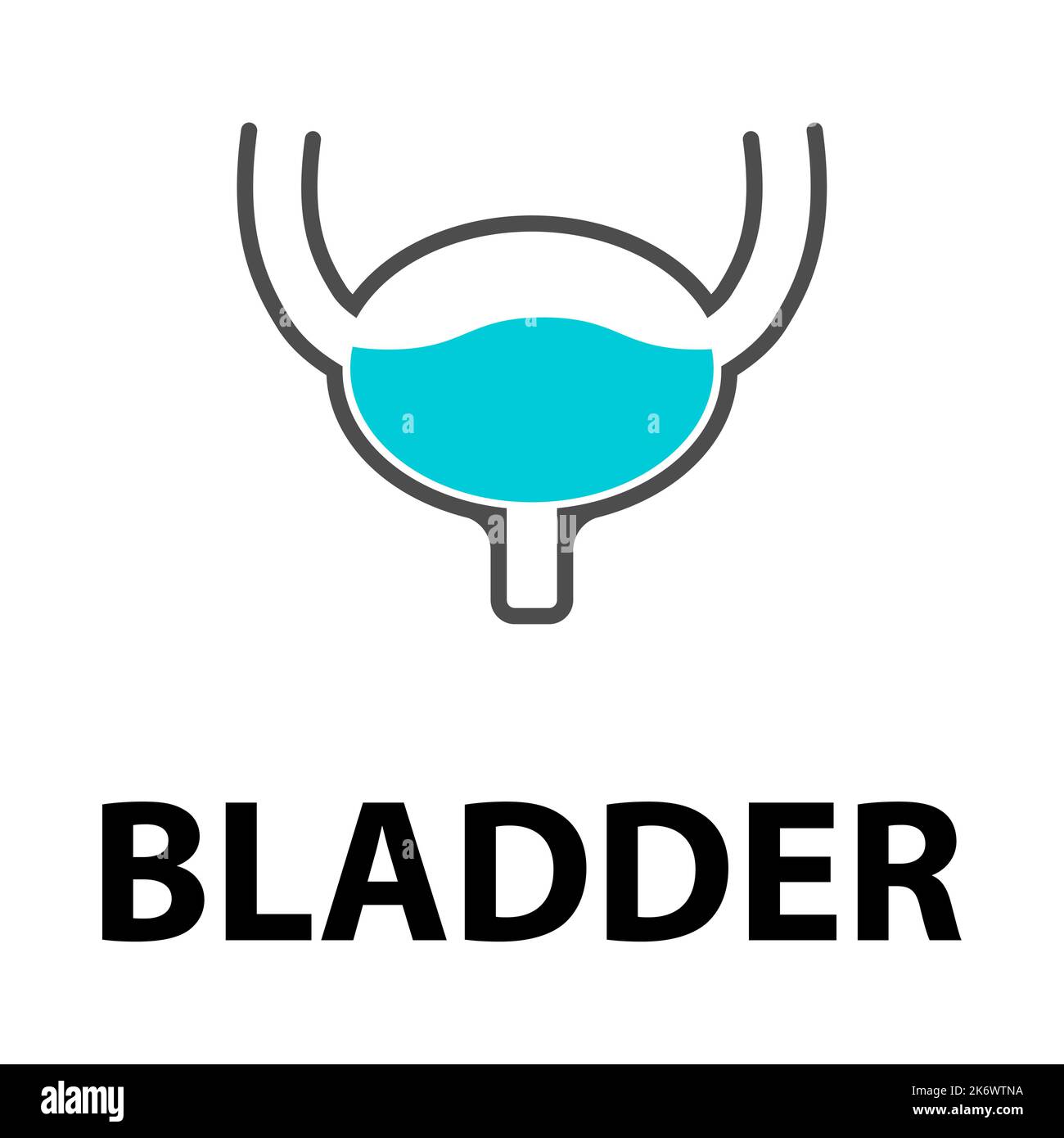 Urology health human icon, anatomy medical body bladder sign, biology ...