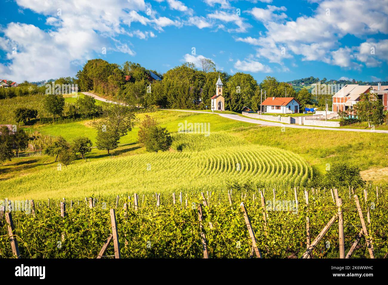 Scenic landscape and vineyards of Medjimurje, region of northern ...