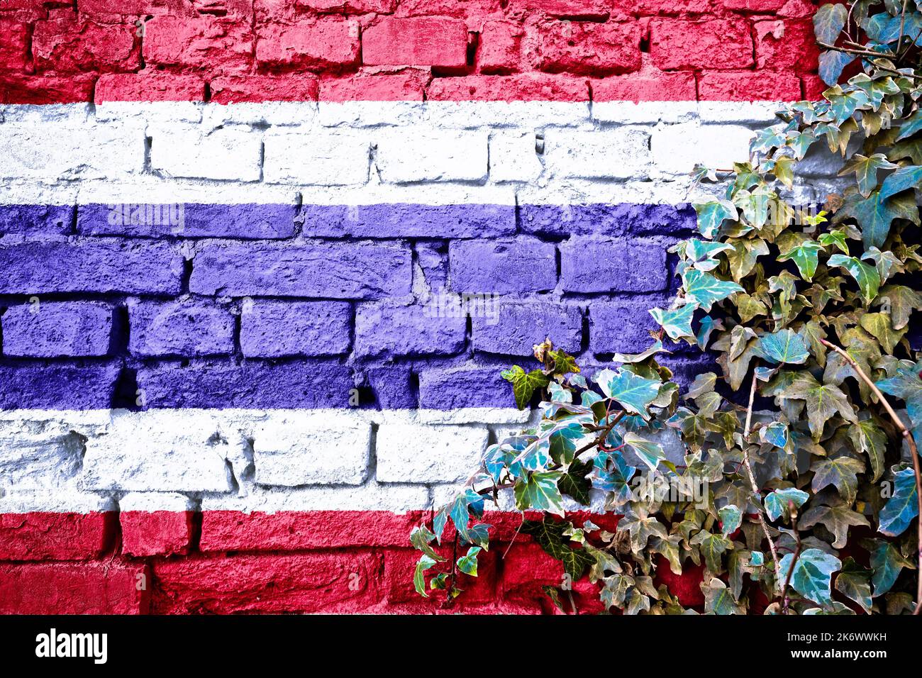 Thailand grunge flag on brick wall with ivy plant, country symbol ...