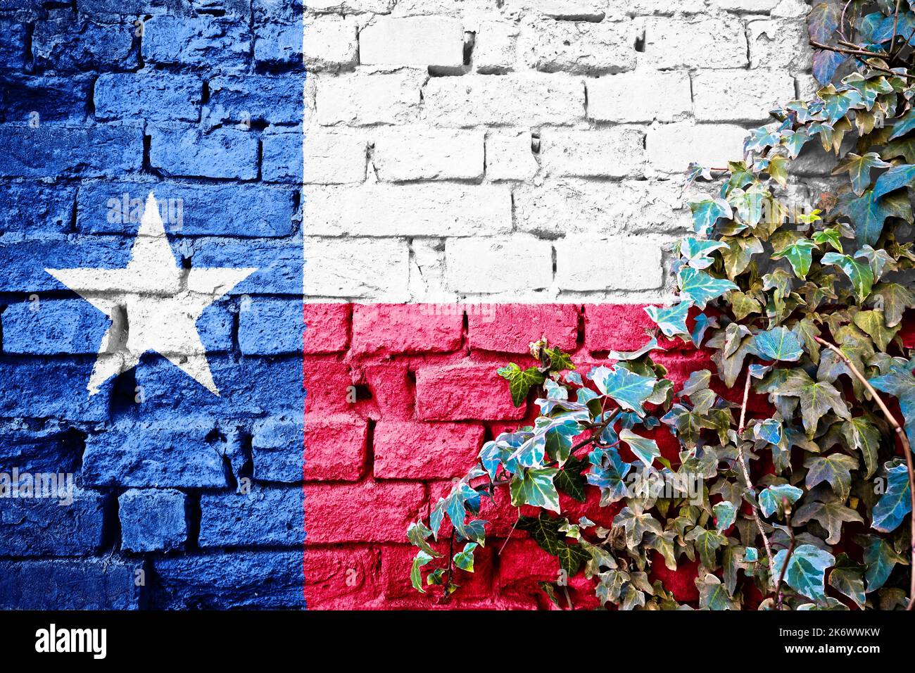 Texas grunge flag on brick wall with ivy plant, USA state symbol ...