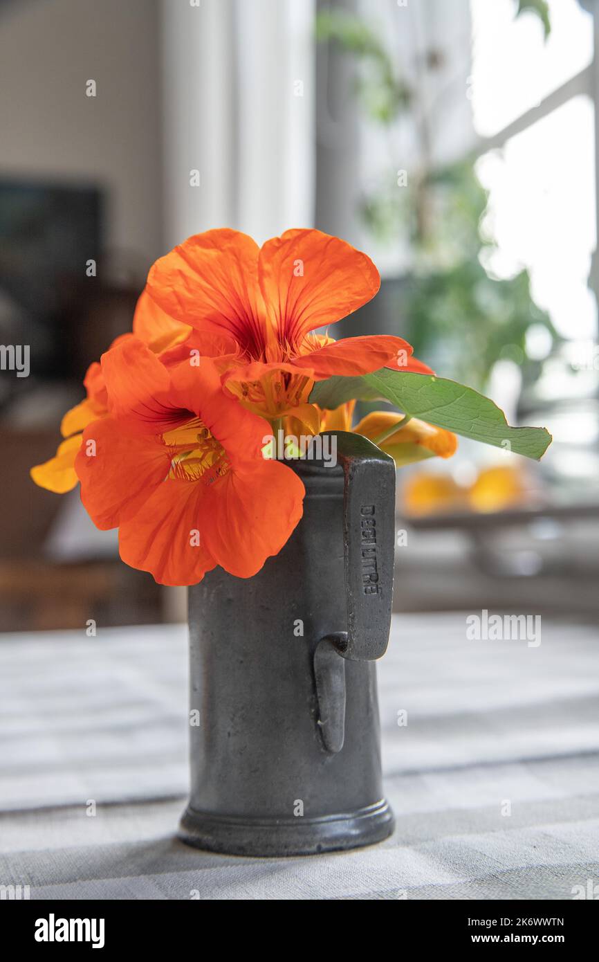 Bo flower hi-res stock photography and images - Alamy