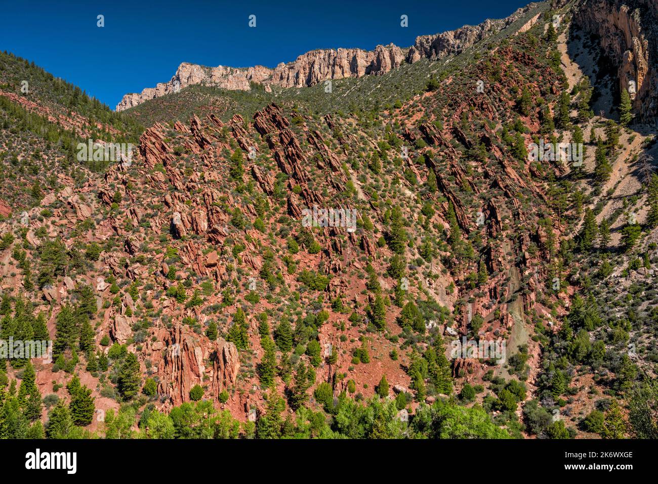 Tilted geology hi-res stock photography and images - Alamy