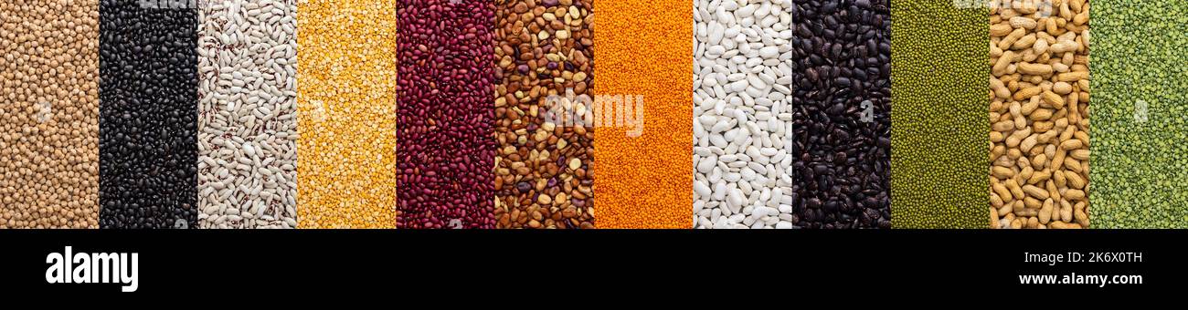 Banner of different types of legumes , chickpeas and peas, colorful ...