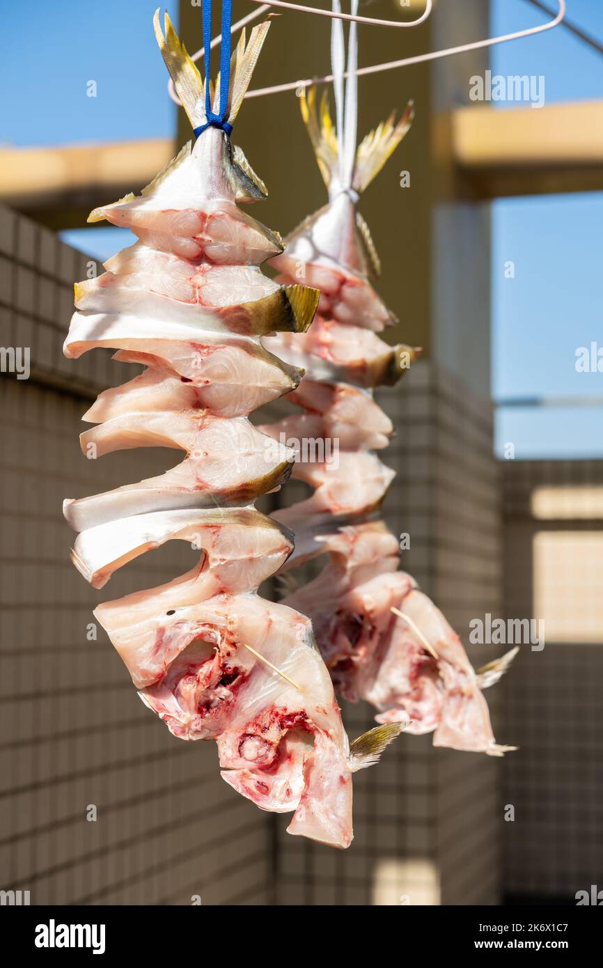 raw fishes being air dried on a balcony vertical compositon Stock Photo ...