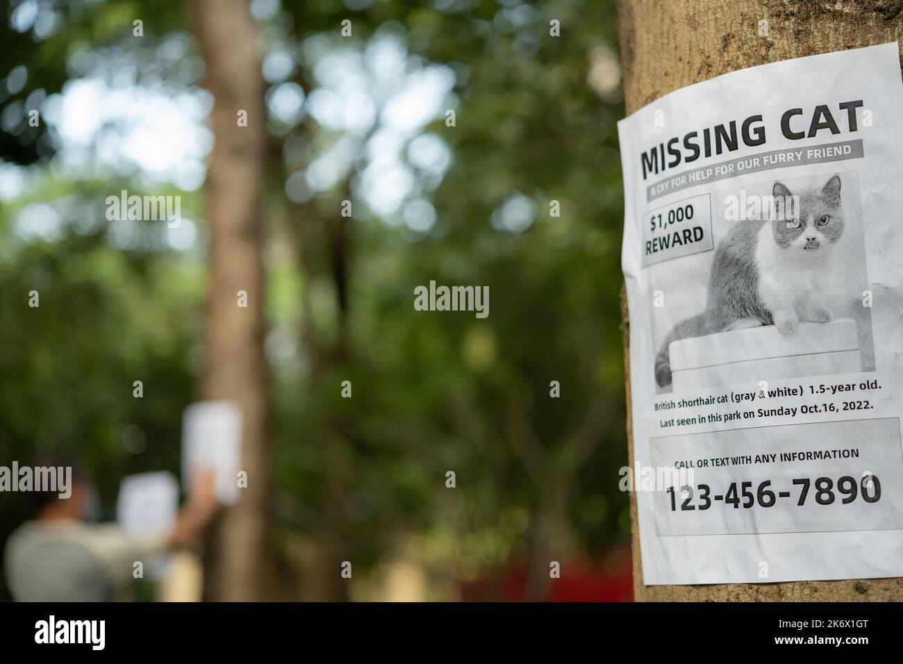 Missing flyer hi-res stock photography and images - Alamy