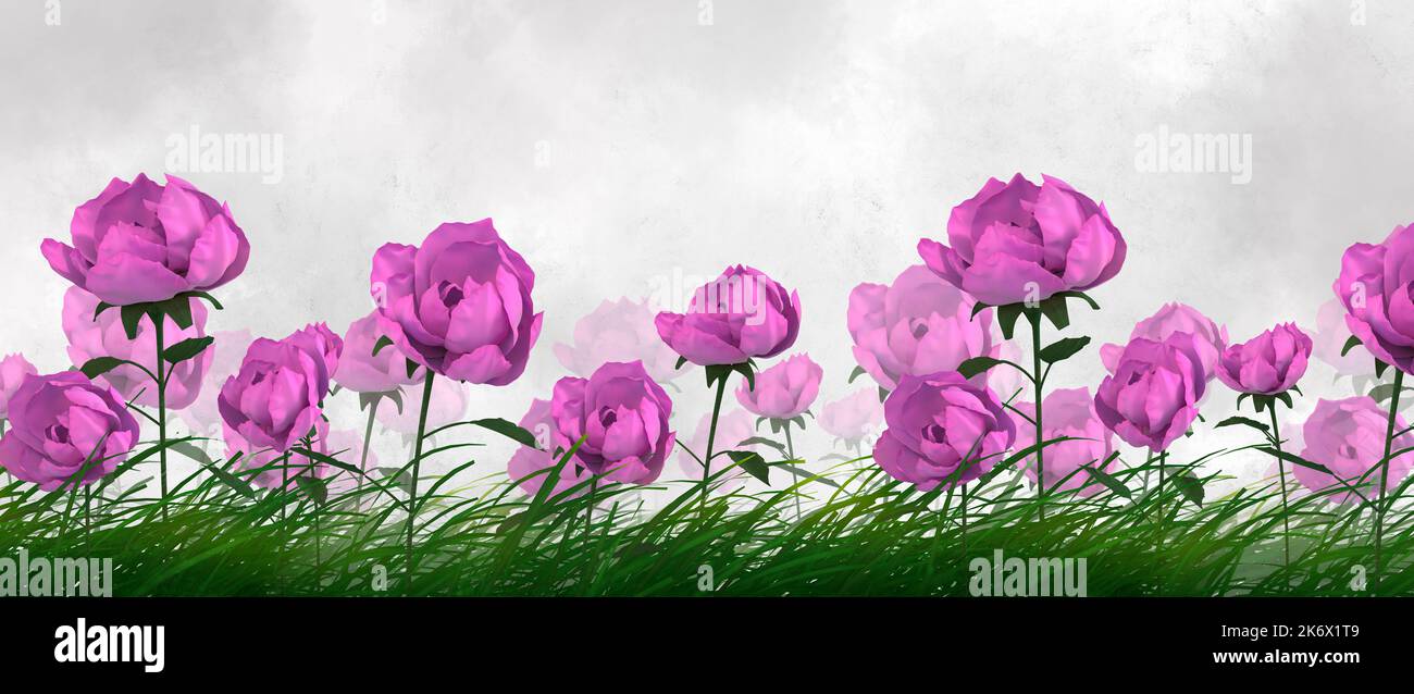 Rose flowers in the grass on the background of a concrete wall Stock ...