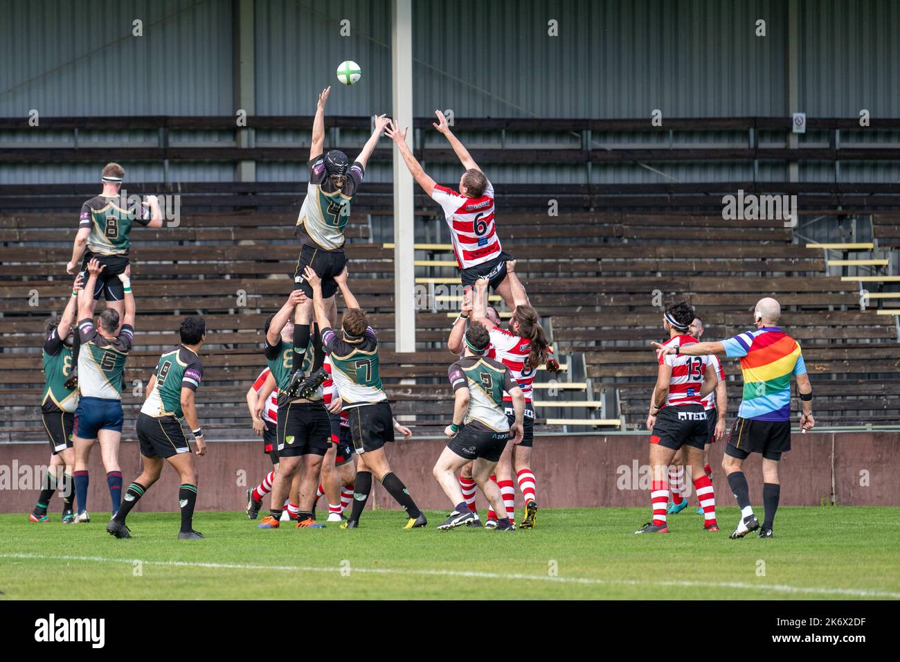 Rugby players and referee hi-res stock photography and images - Alamy
