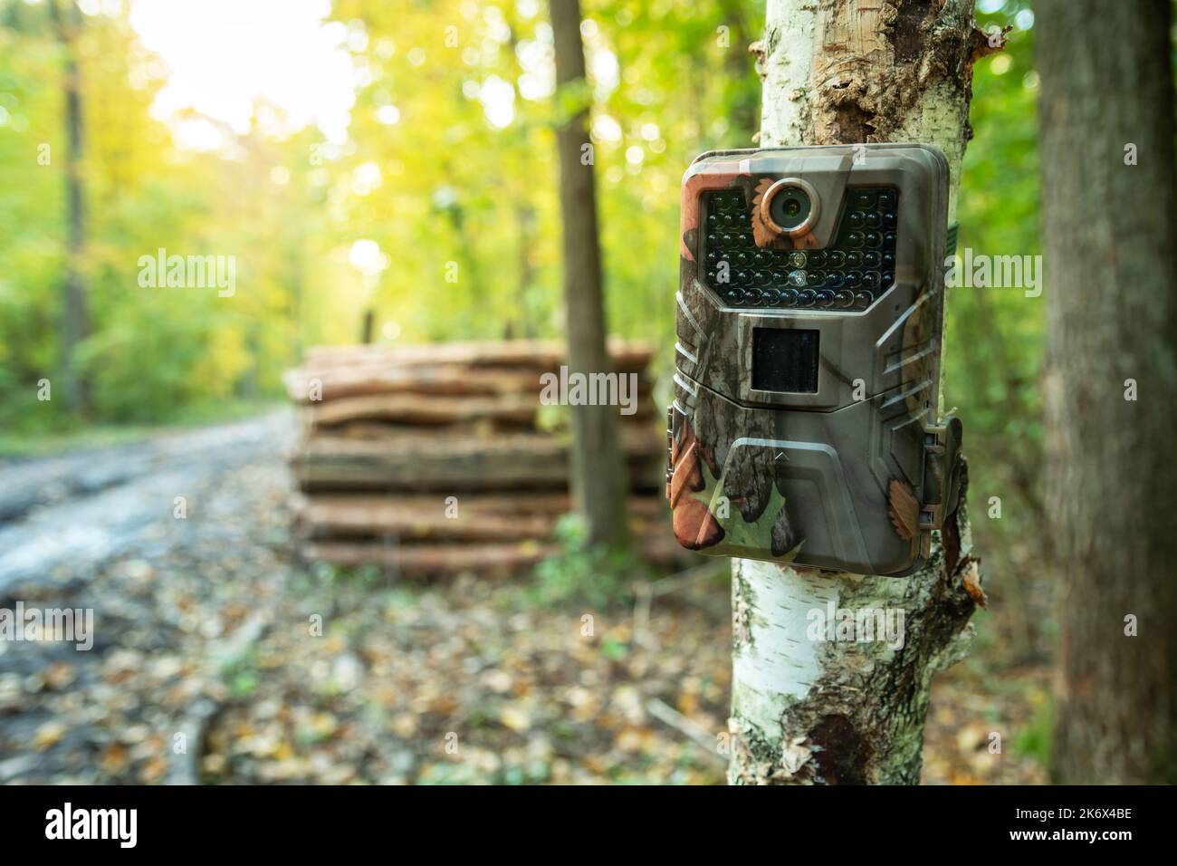 Wildlife camera trap hi-res stock photography and images - Alamy