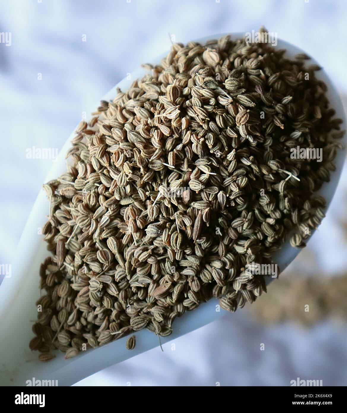 Carom Seed