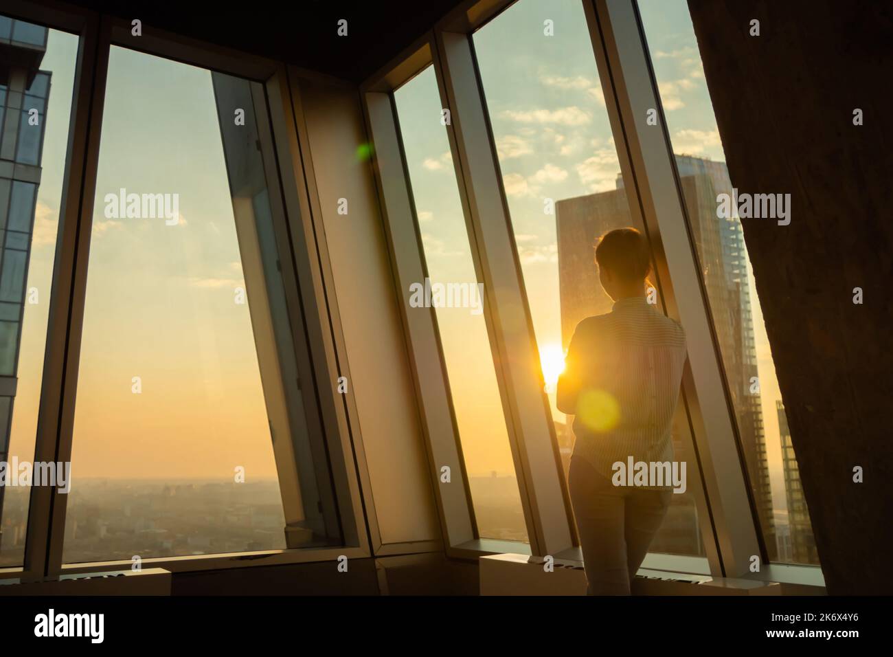 Back view of woman looking at cityscape through window of skyscraper ...