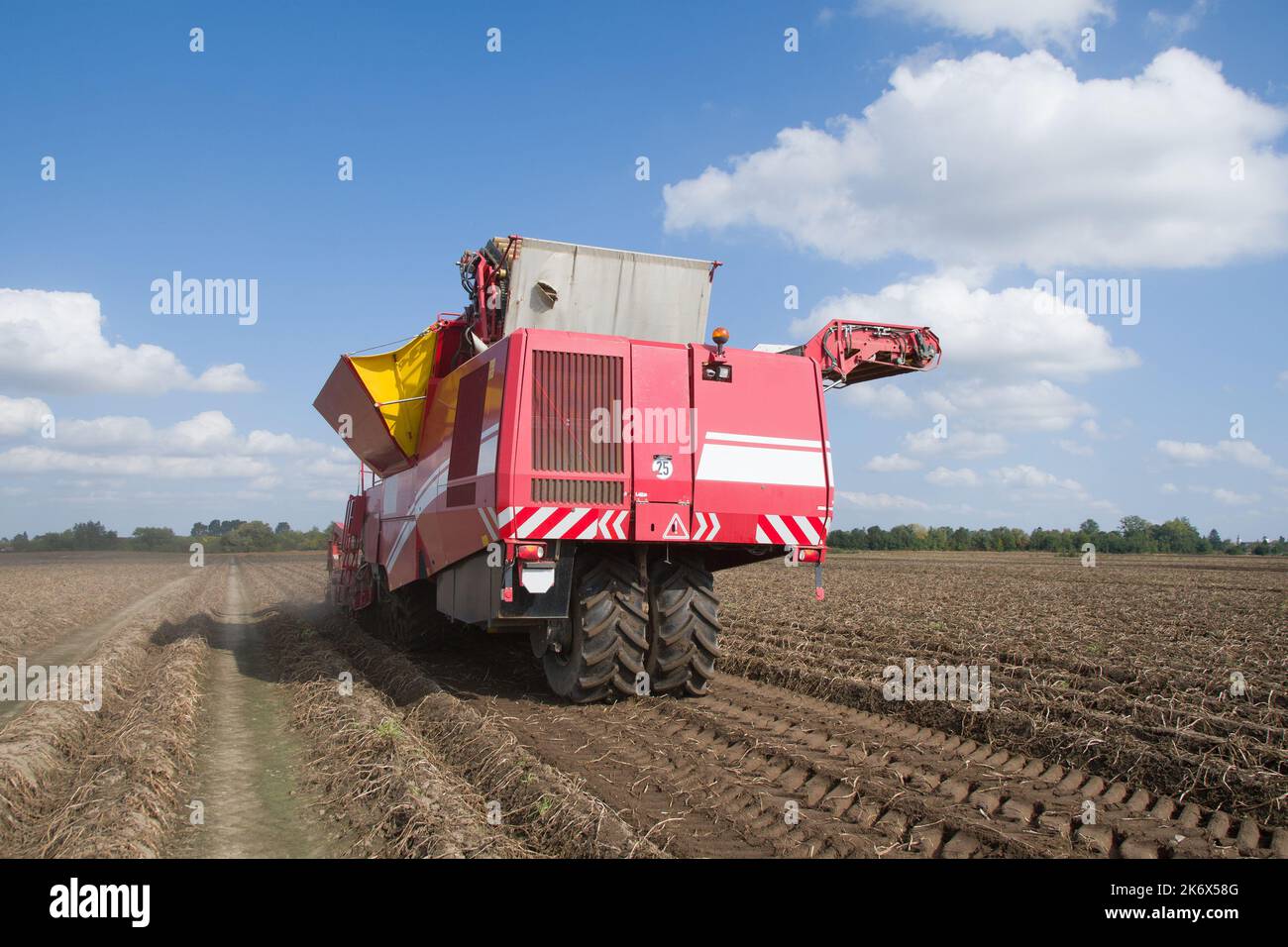 Potato Harvester. Agricultural Potato Combine Harvester at field ...