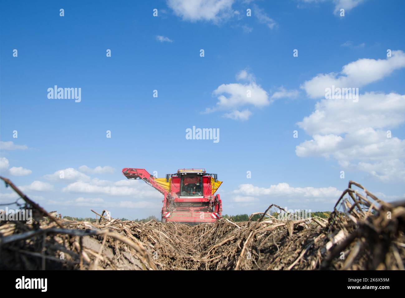 Potato Harvester. Agricultural Potato Combine Harvester at field ...