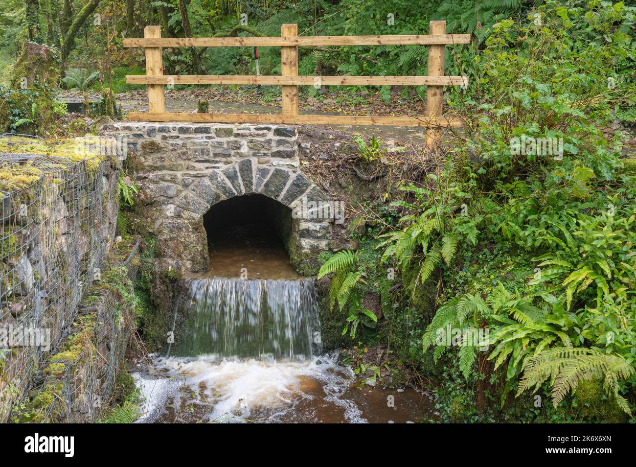 Stream discoloured brown from farm pollution running through a culvert ...