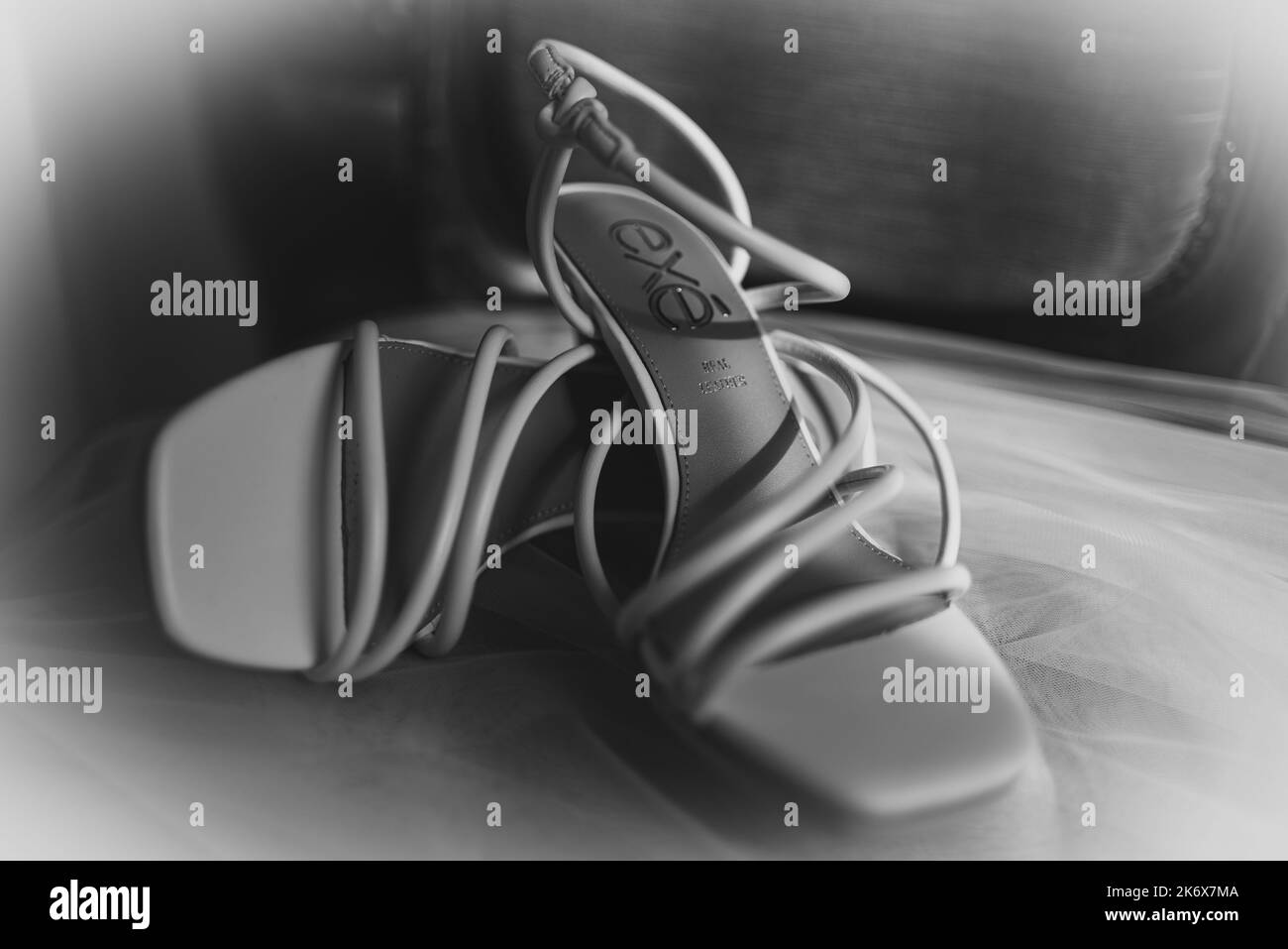 Spectacular composition for wedding with various accessories Stock ...