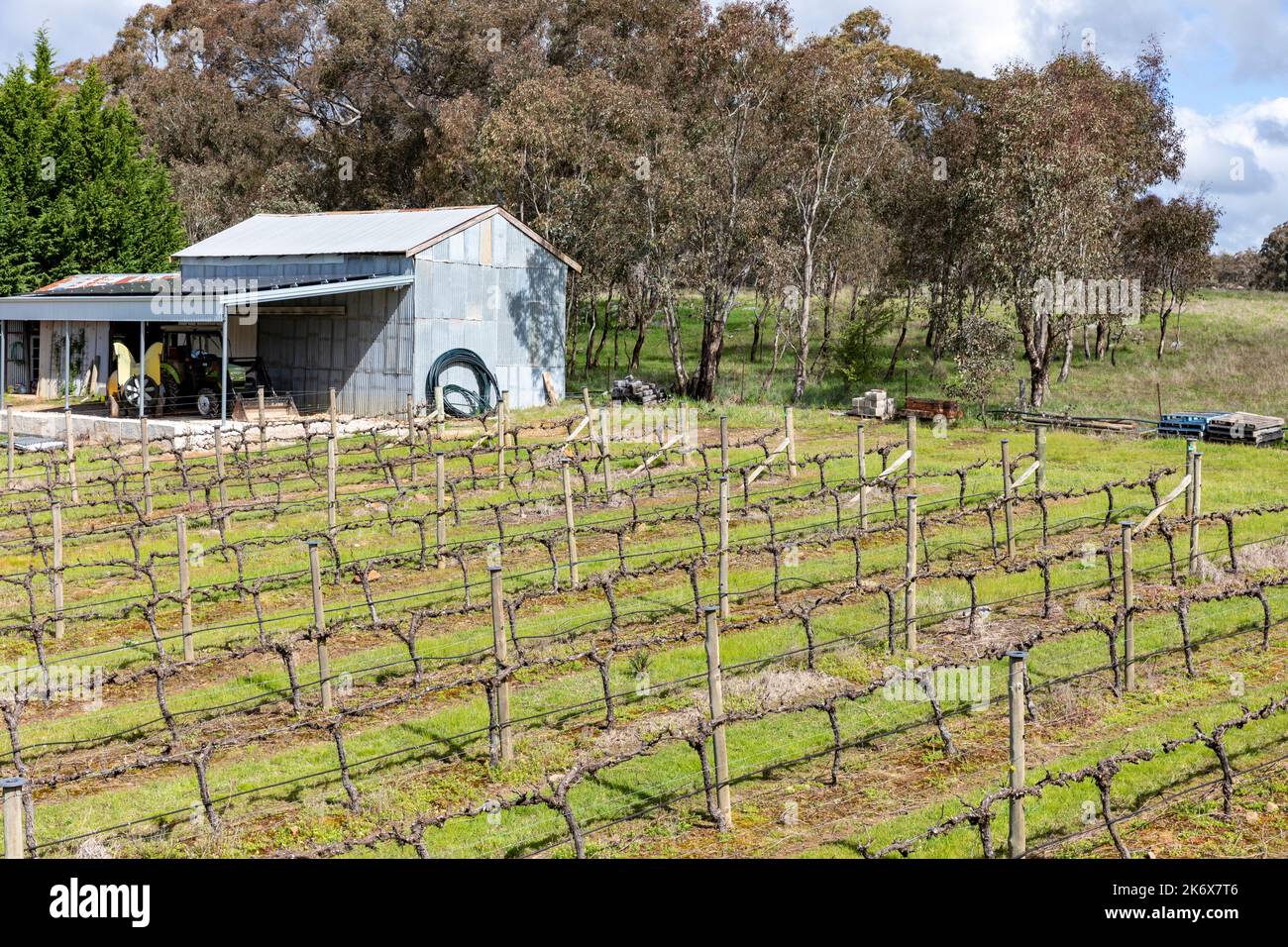 Orange New South Wales,Mortimers vineyard and winery in regional NSW ...
