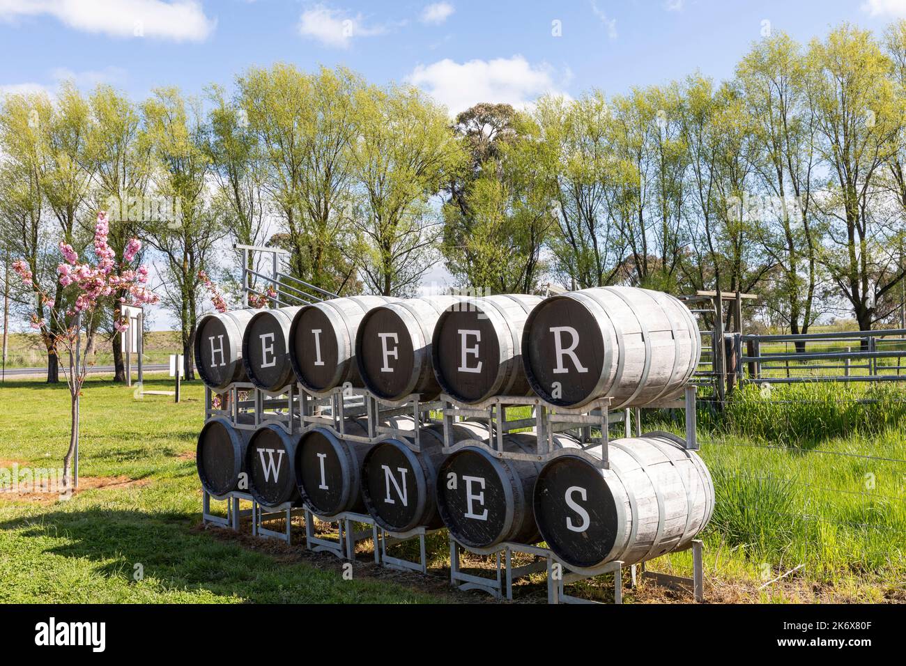 Heifer station wines hi-res stock photography and images - Alamy