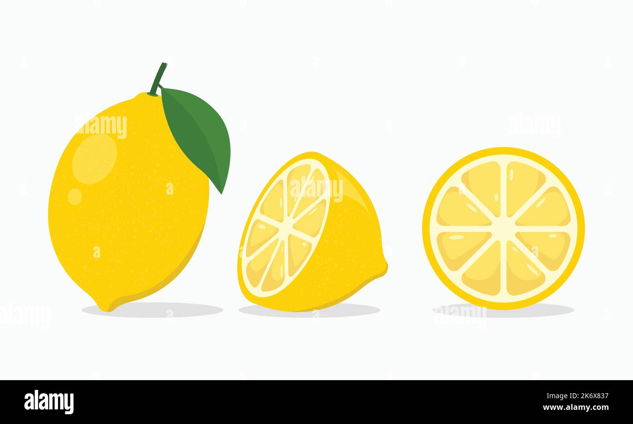 Fresh lemon whole and sliced vector illustration Stock Vector Image ...