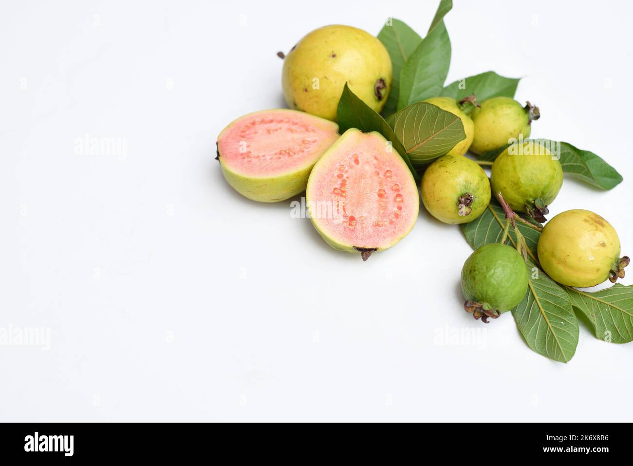 Ripe guava fruit with leaves on white background with copy space Stock ...
