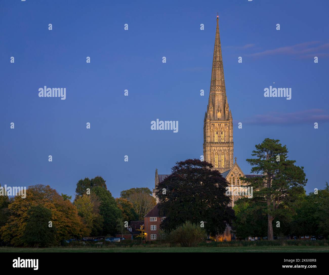 Salisbury cathedral evening blue hour from Harnham water meadows ...